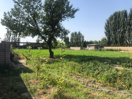 Срочно продам участок 42 сотки в Таш.области. Готовая ферма