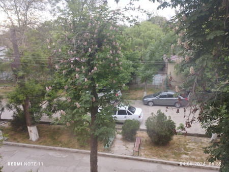 Продается кв 2в3/3/4 яшнабадском районе Авиасозлар 3