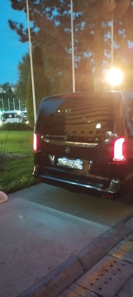 Mercedes Viano 2017