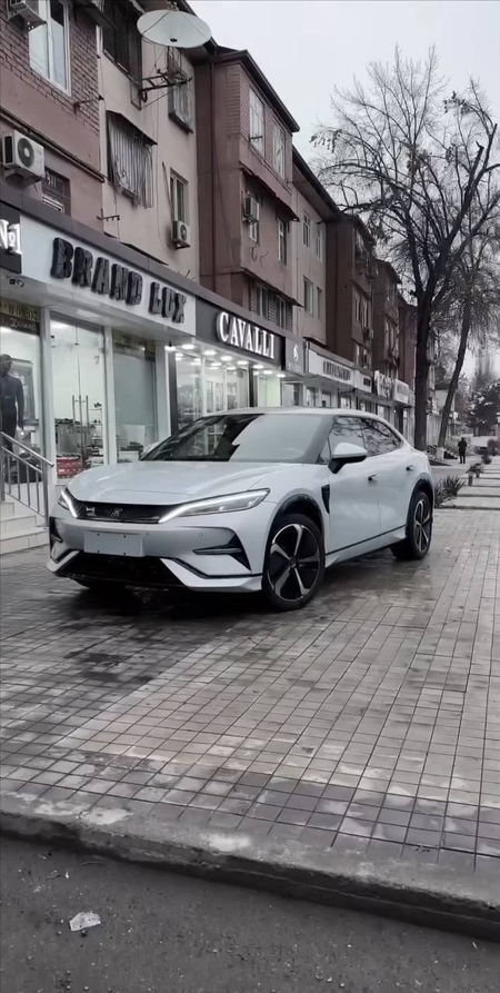 Byd song L 2024.
