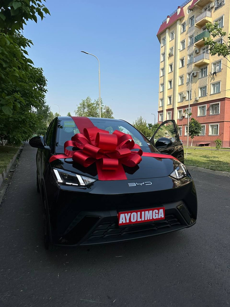 Bantik na mshinu, podarichniy bantik