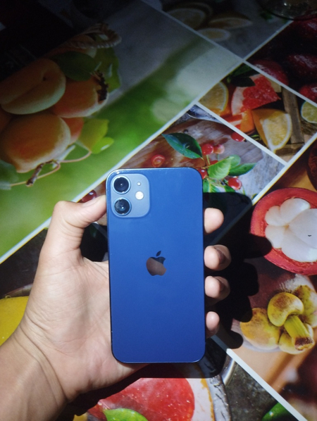 iPhone 12 mini ideal