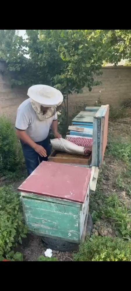 Продается горный, майский мёд