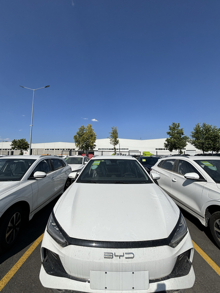 BYD E2 EV 2024 full kompletatsiya