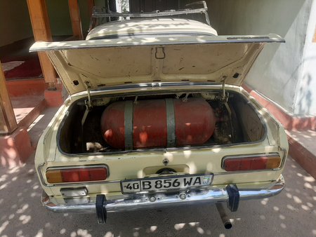 Maskivich azliki