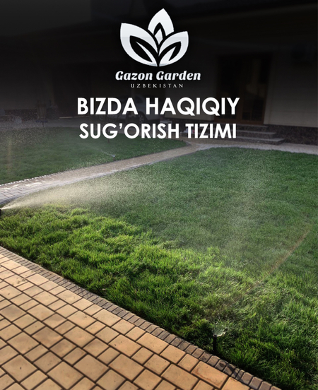 Gazon o’rnatish xizmati!