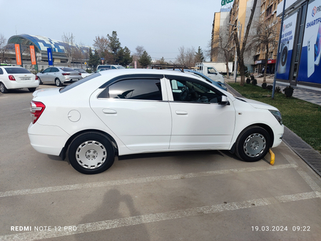 Cobalt 2019 4-pozitsya