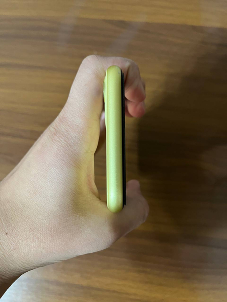 IPhone 11 Ideal