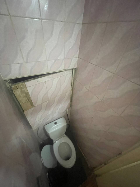 Квартира 19 кв только семя
