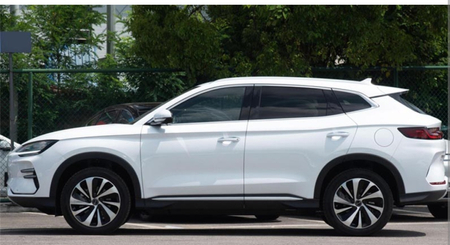 BYD chempioni 605
