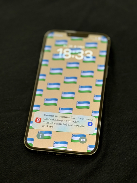 Iphone 13 pro max 1 tr