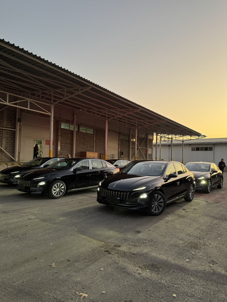 Hongqi E-QM5  500KM
