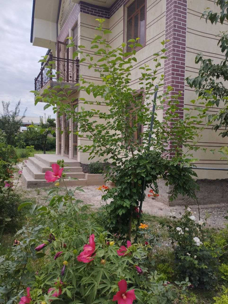 Uy sotiladi 2 qavatli 10 xonali  6 sotxli hovlisi bor