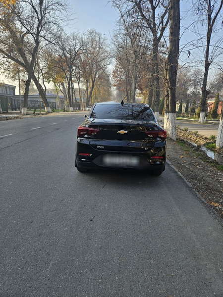 ONIX механика. Краска тозза.