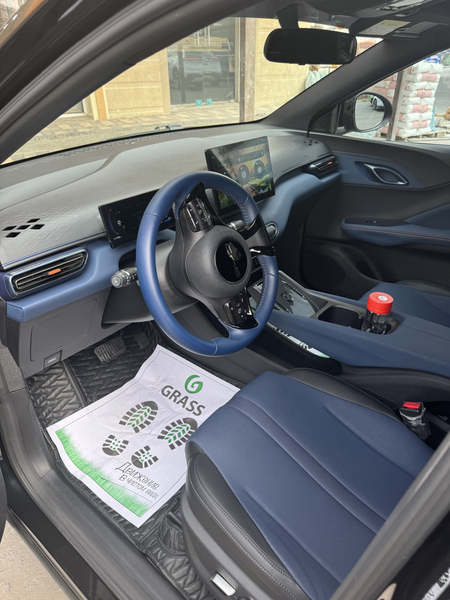 BYD seagull full