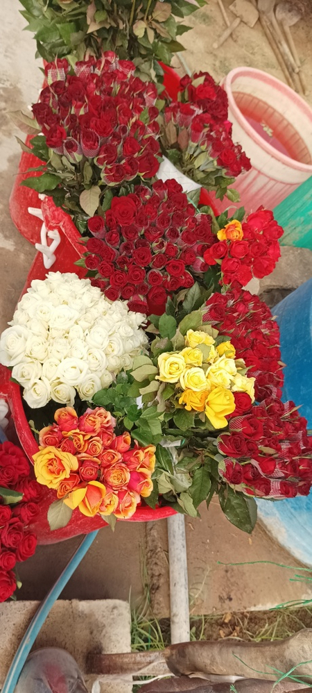 Har hil rangdagi Atir gullar