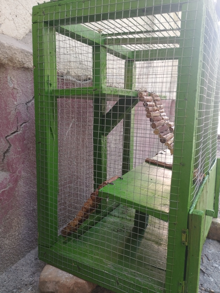 Клетка для грызунов
