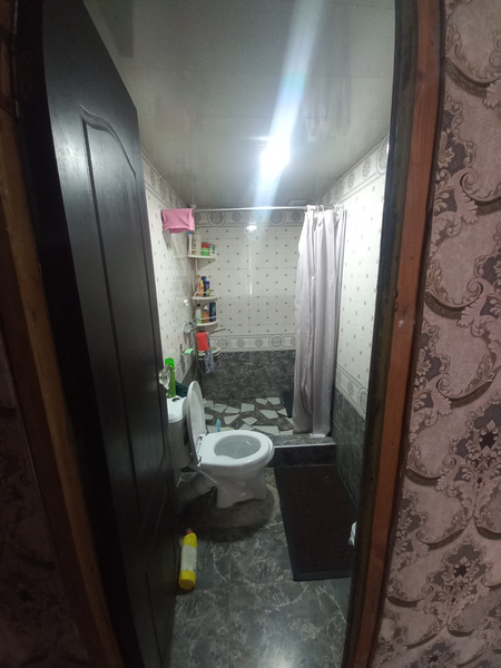 Oltin tepa tutzor kocha xavas