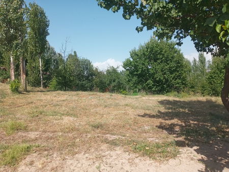 Uchaska sotiladi Parkentan