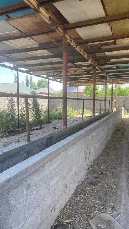 8 Sotik yer 2 xonali yashash 10ga 15 ferma molxonasi bor