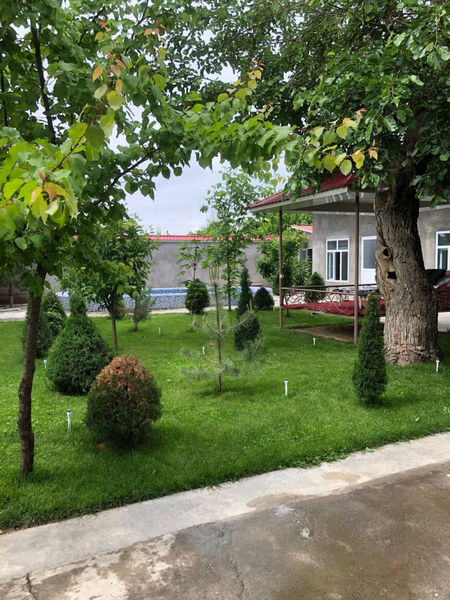 Dacha Oqtosh Quyoshga yaqin joyda