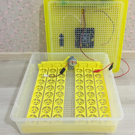 Inkubator , инкубатор