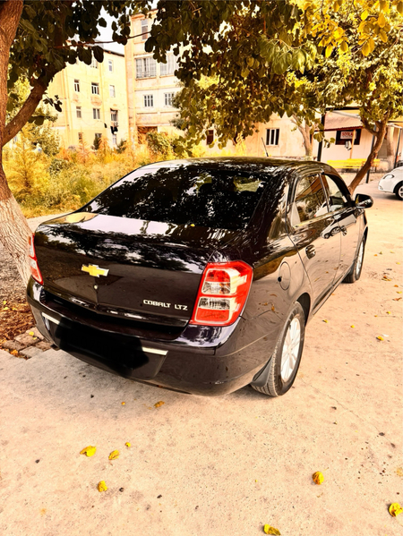 Cobalt 4 paz style abezi bor 2023