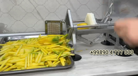 Sabzi tug'ragich