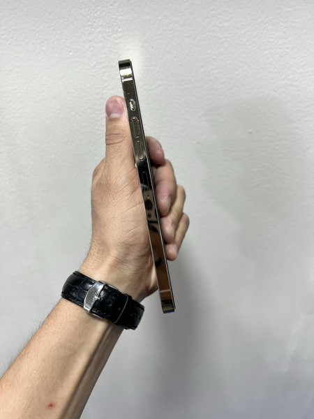 Srochna 13 pro max 256 gb