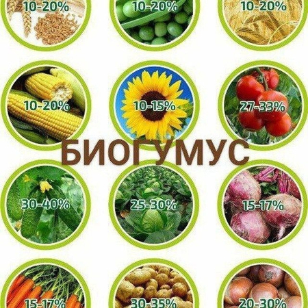 Продается Калифорнийский черви и биогомус