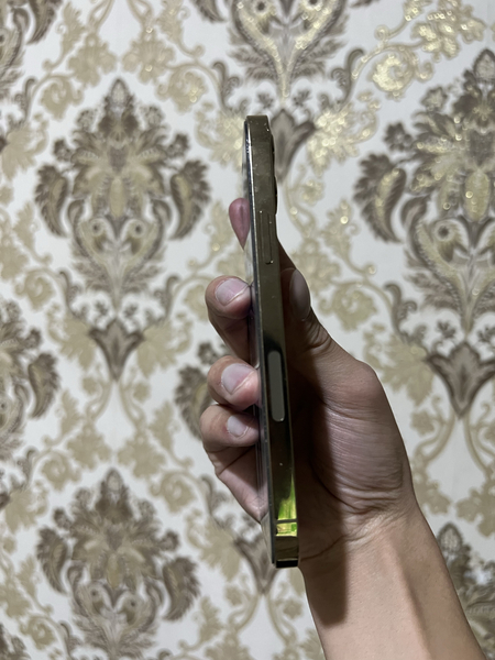 Iphone 12 pro sastayana ideal