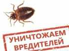 Двойная обработка в один день. Самый эффективный способ от клопов.