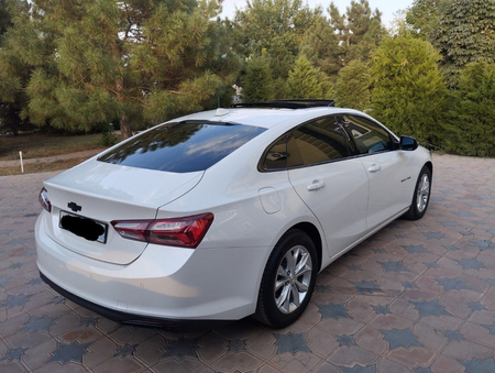 Malibu 2 Preimer 2019!. Holati ideal
