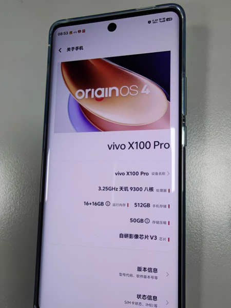 Vivo X100 Pro (New)