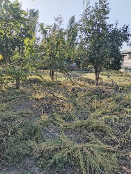 Учаска сотилади 10сотх