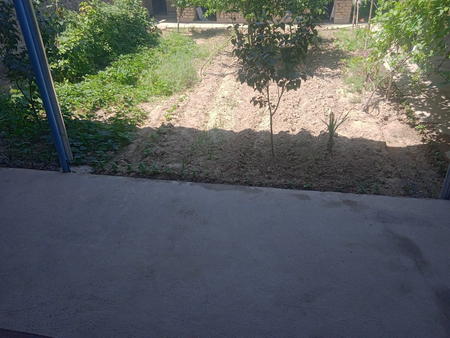 Qolgan ma'lumotlar telefon orqali