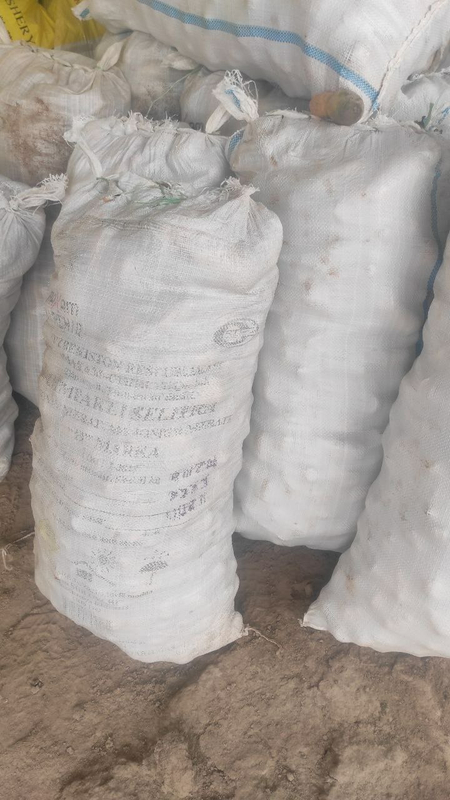 Sabzi molga yem uchun