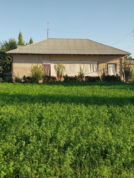 Babakulov Shuxrat