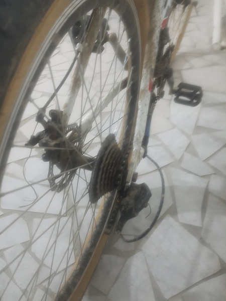 velosaped aybi yõq srochni sotiladi