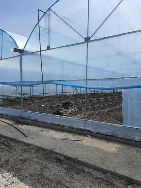 Issiqxona (teplitsa)  sotiladi. 50 sotix maydonda. Yangiyo‘l tumanida.