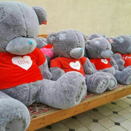 Teddy va boshqa yumshoq oʻyinchoqlar