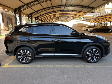 BYD champion 2025 restailing