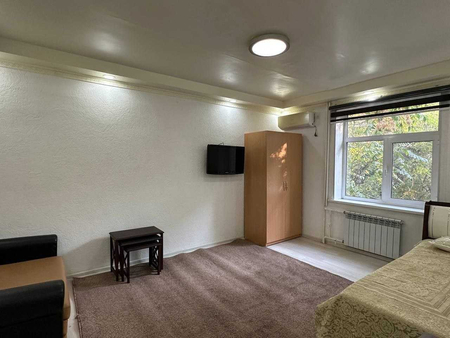 м.Космонавтов Ц-7 Школа 110 1-комн 3/4 33 м² ремонт меб/тех кирпич