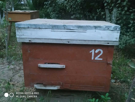 асалари яшиклари