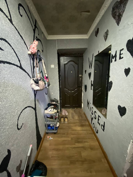 1х (переделанная в 2х) с мебелью и техникой