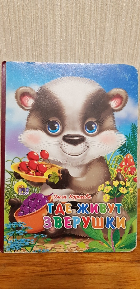 Детская литература