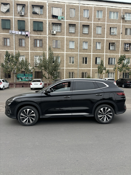 Byd Champion 605