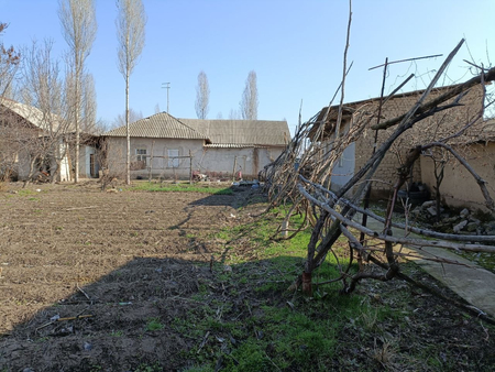 Toshkent hovli joy