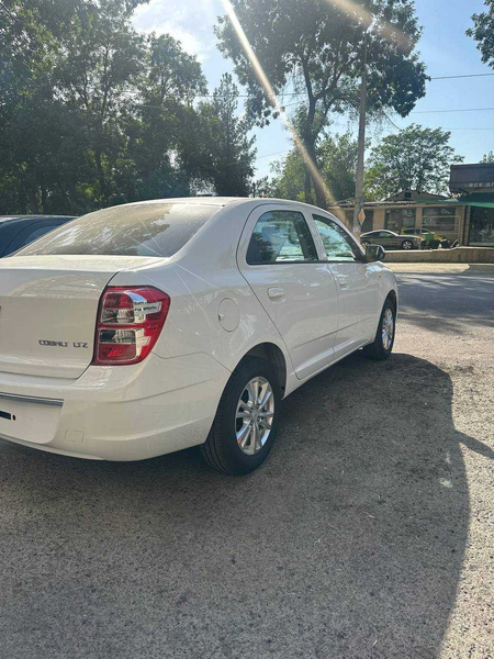 cobalt halol nasiyaga