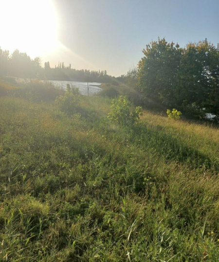 Toshkent viloyati Yangi Bozorda 5 gektar Dacha sotiladi Lokatsya Ideal